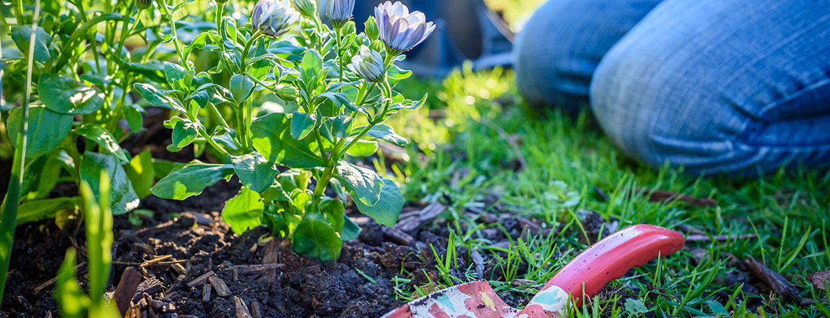 Spring Landscaping Checklist - Austin's Lawncare